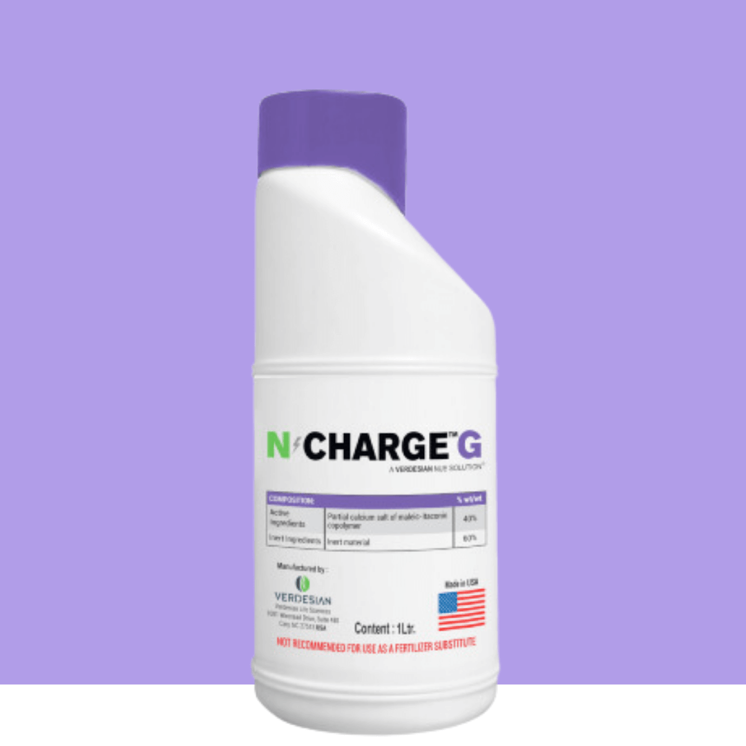 Boost Fertilizer Efficiency: Enhancers for Plant Growth